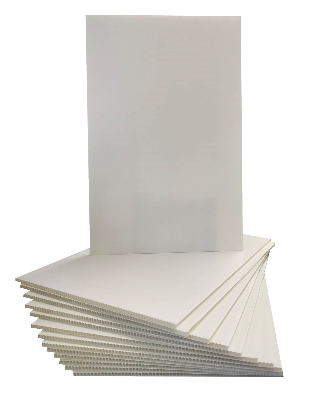 Polypropylene Backing Card A3 – Conservation Supplies
